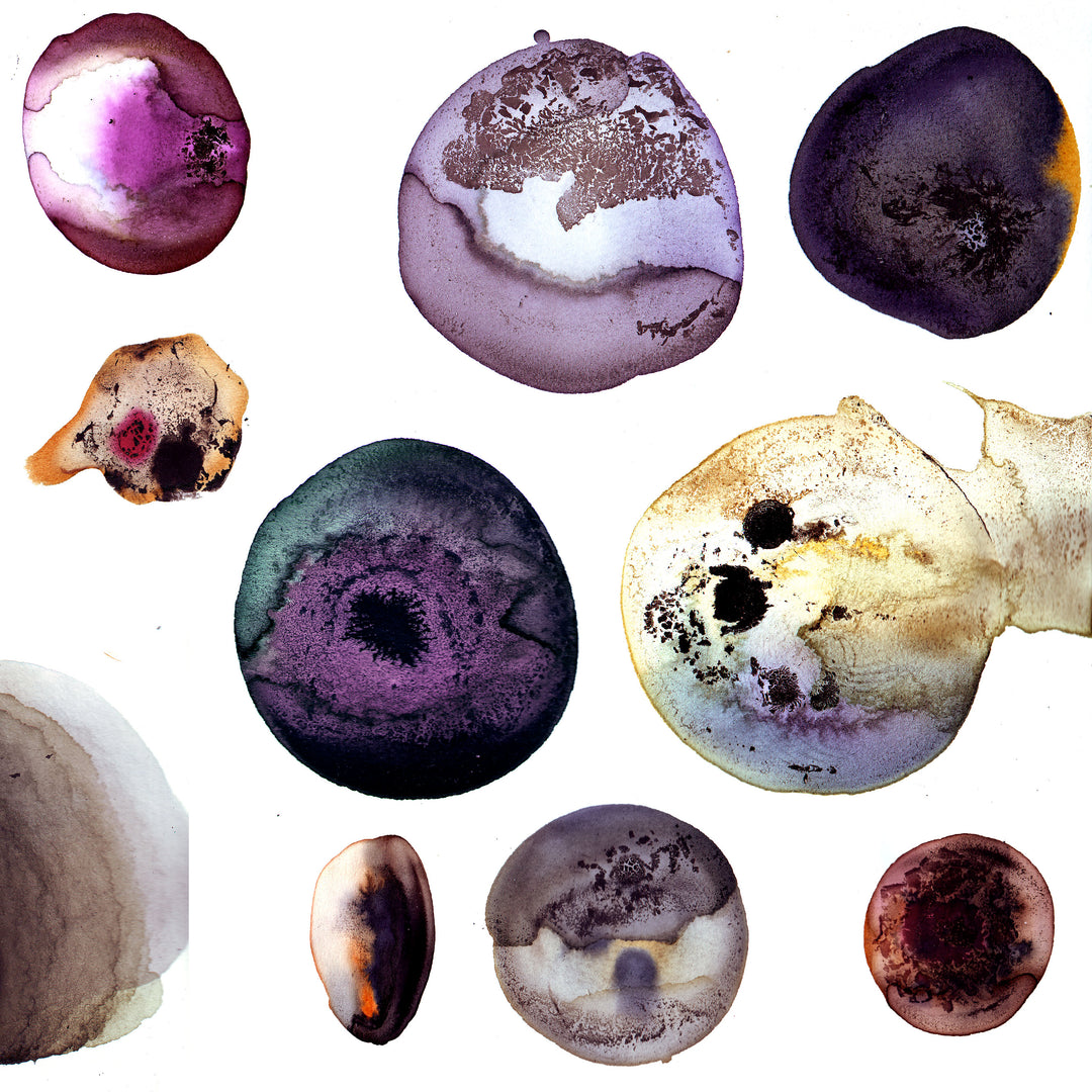 The Toronto Ink Company