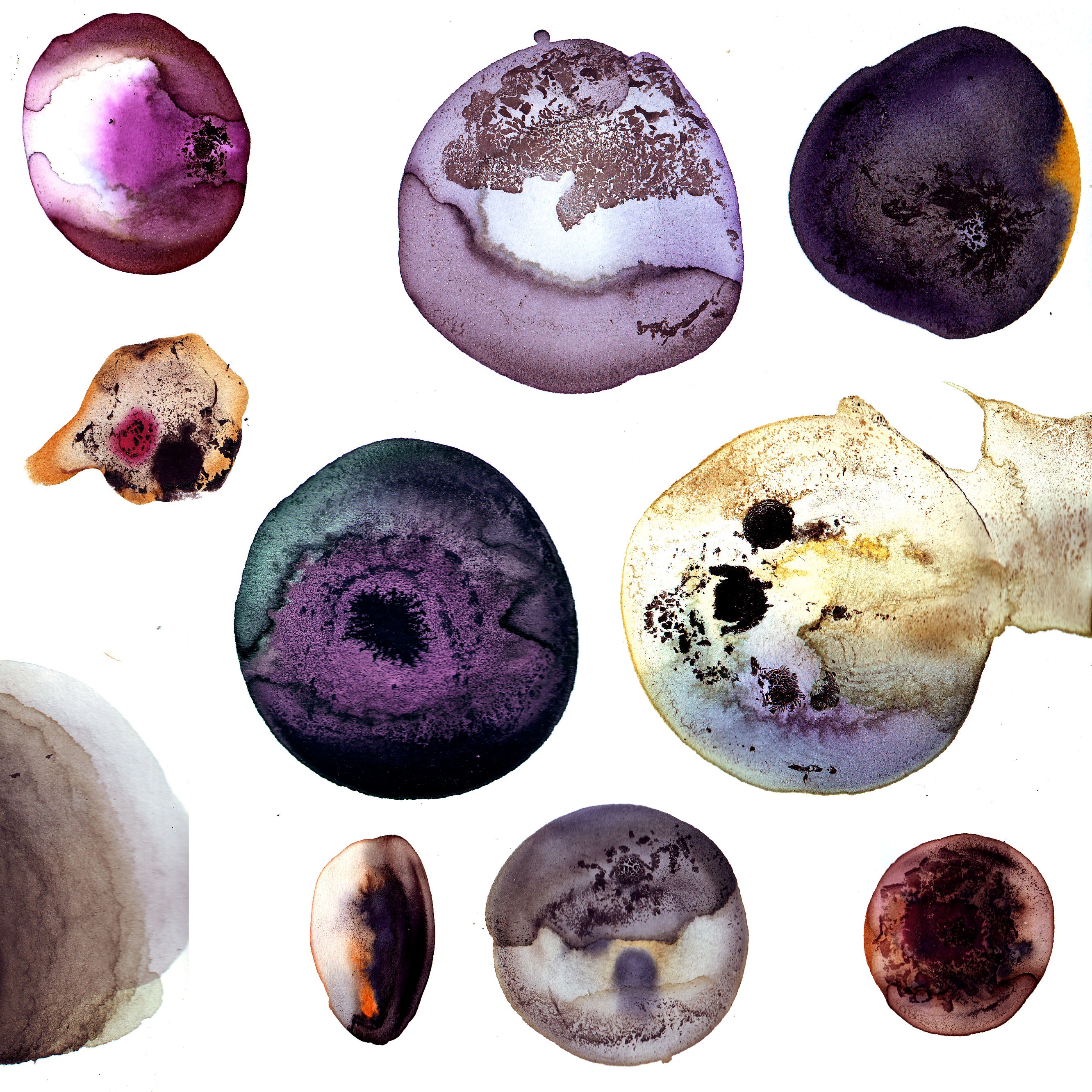 The Toronto Ink Company